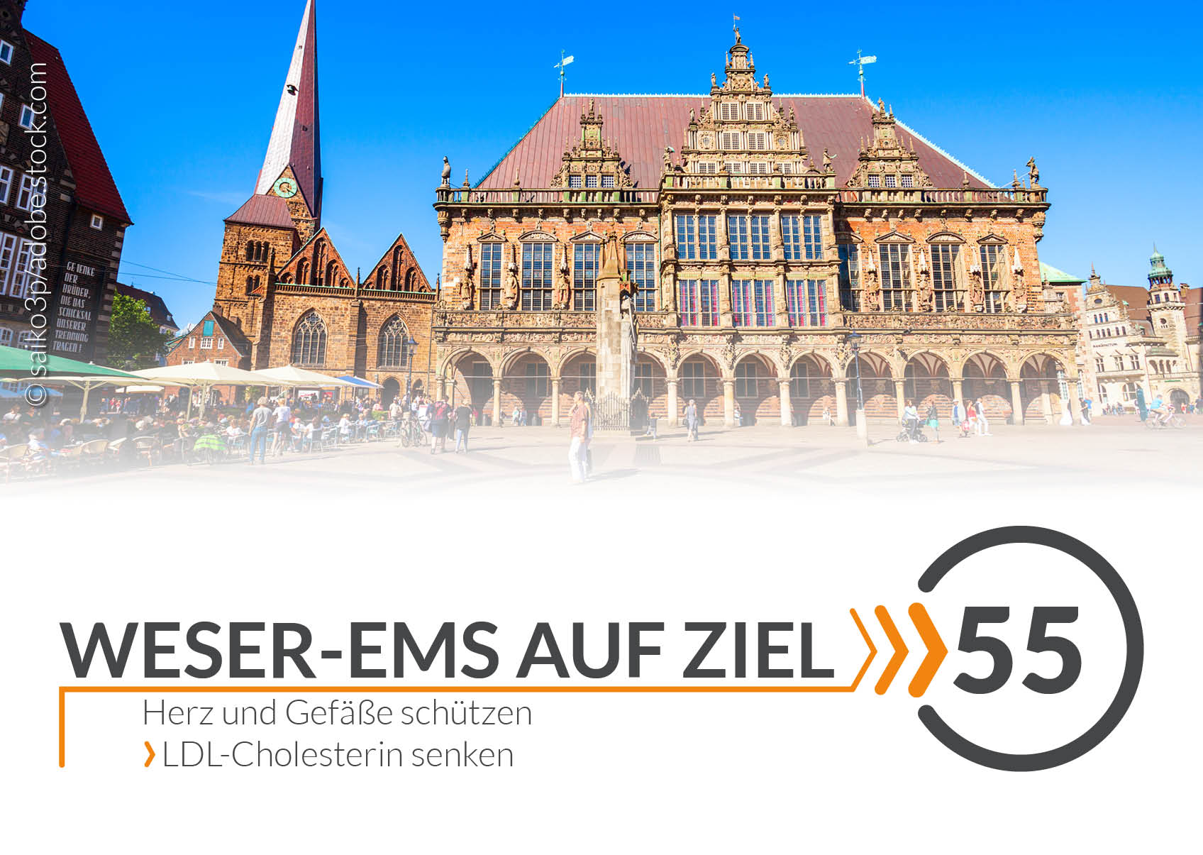 Fortsetzung der Kampagne der DGFF (Lipid-Liga) - DGFF (Lipid-Liga) e. V.