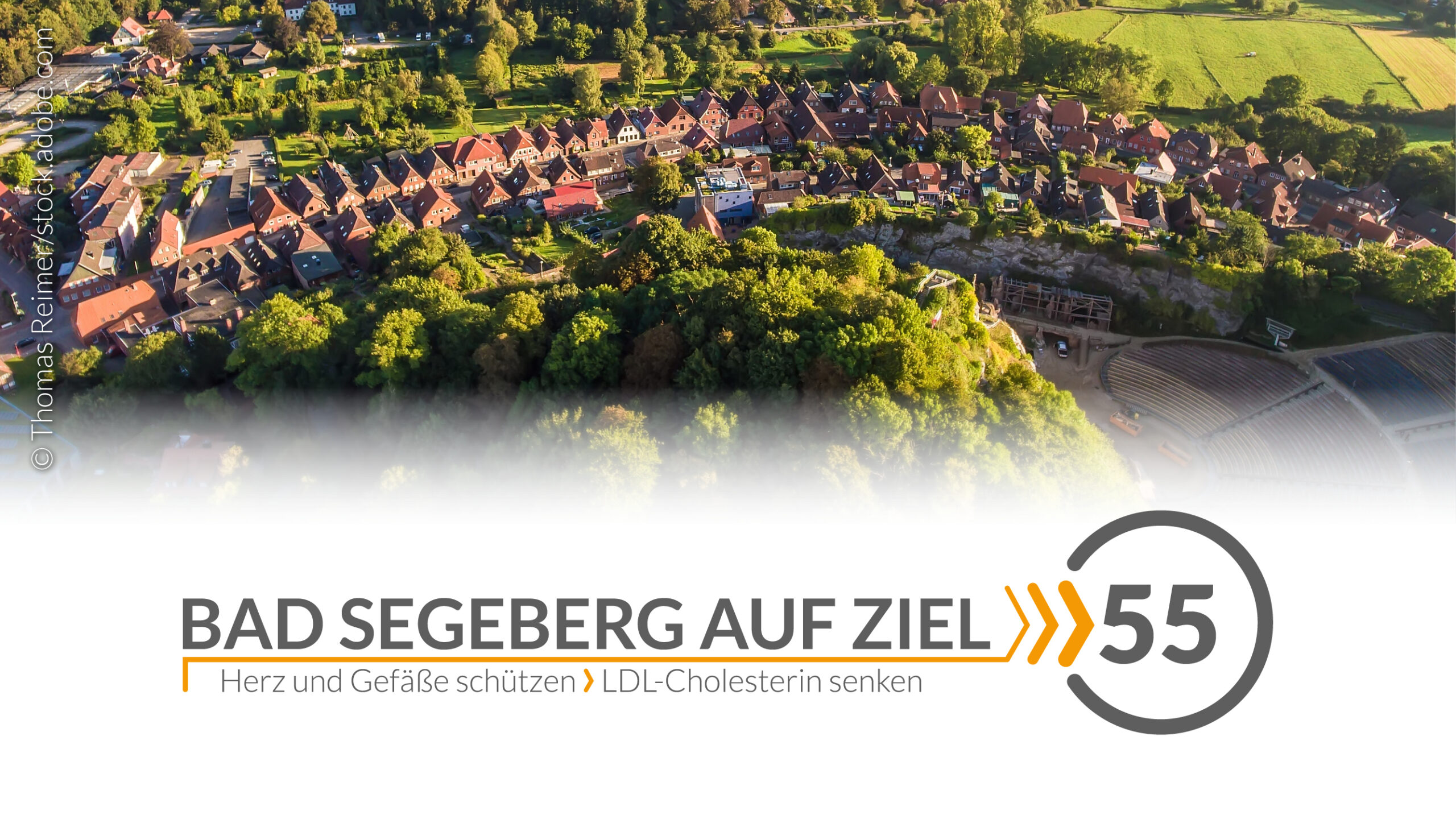 Events Archiv - Deutsche Gesellschaft für Lipidologie e. V. (DGFL ...